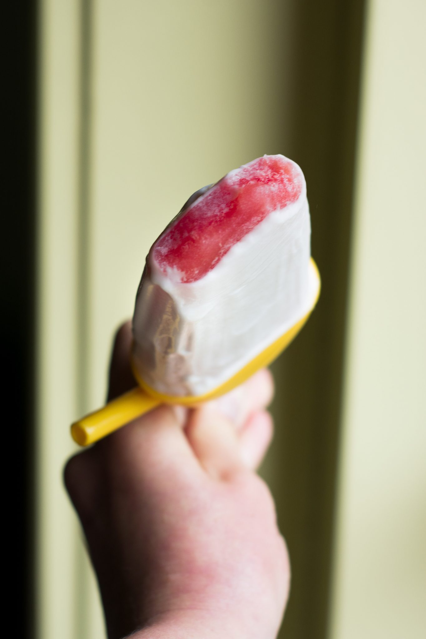 Healthy Watermelon Strawberry Popsicles (100% Fruit) - Coco's Green Deli