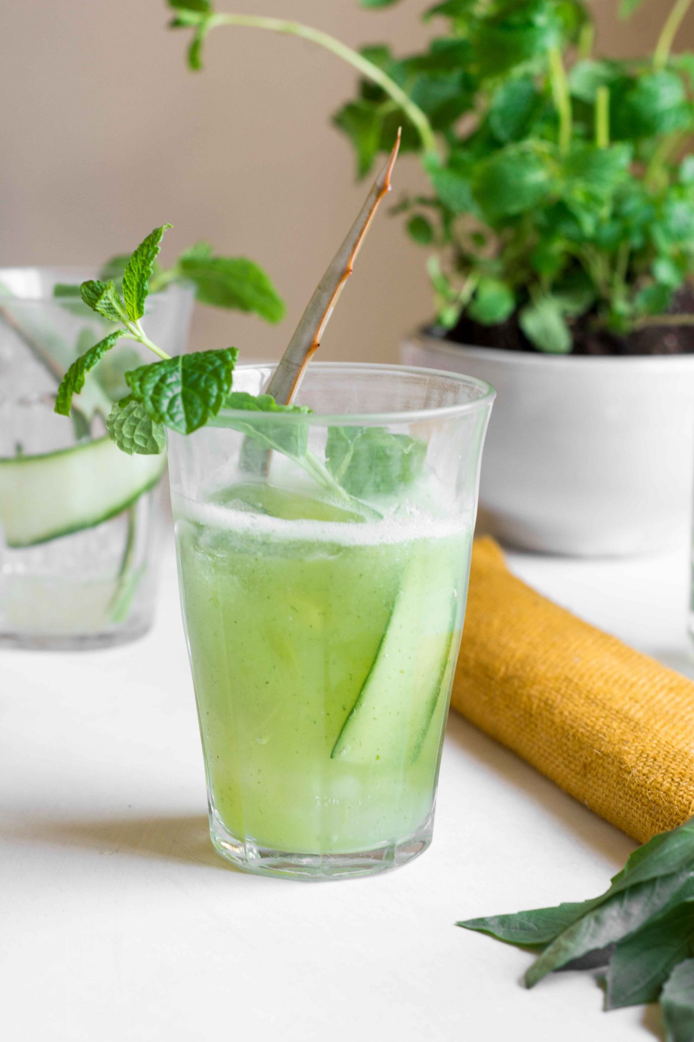 Aloe Vera Cucumber Cooler - Coco's Green Deli